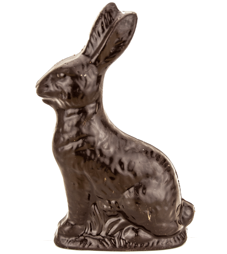 Patsy Solid Chocolate Easter Bunny
